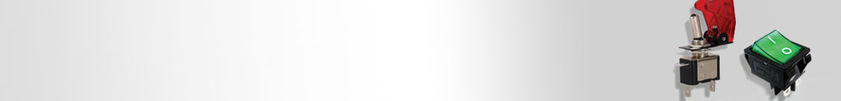Rocker, Toggle & Foot Switches | RJS Electronics Ltd